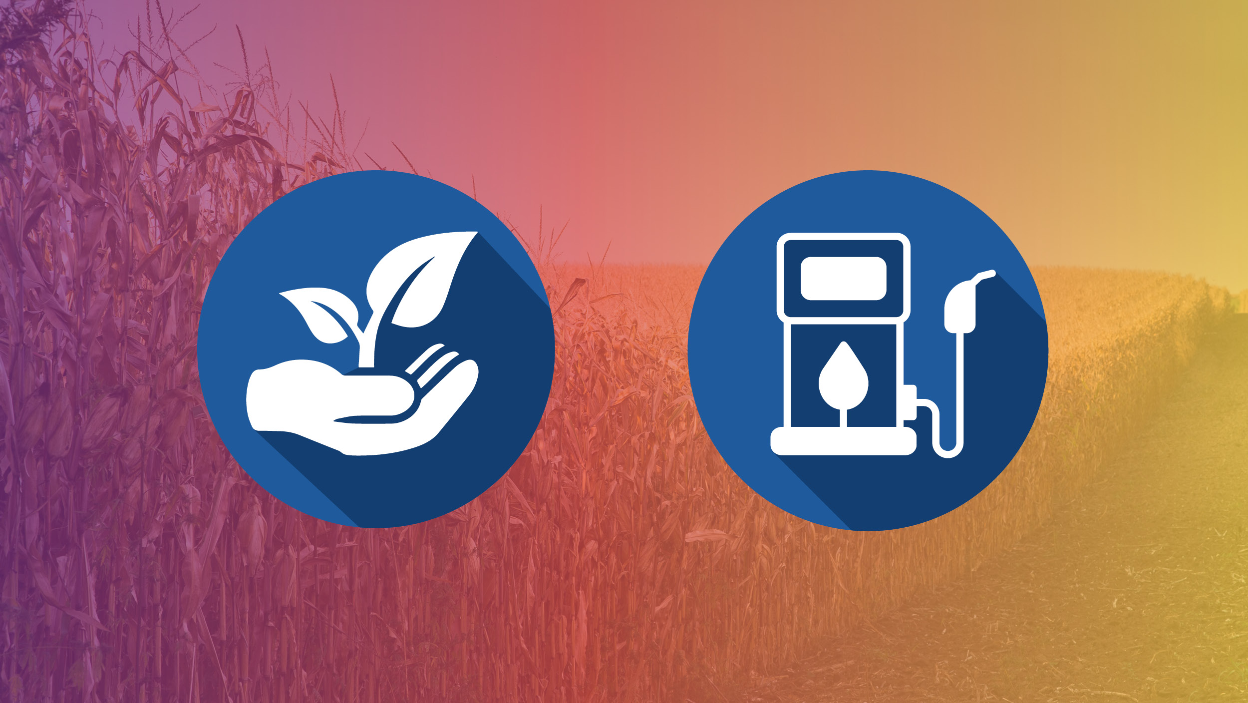 Expert Insights in Sustainability and Renewable Energy