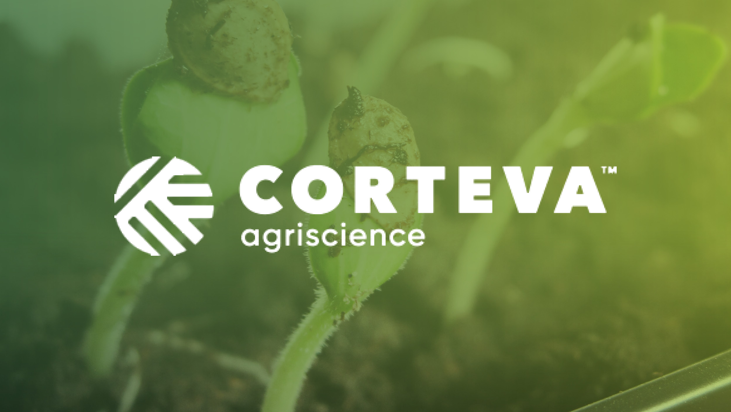 Ag Poised to Lead the Way for Global Issues